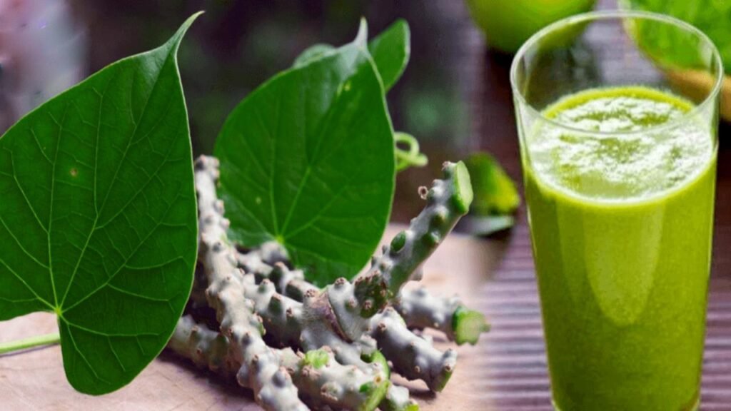 Tippa Teega Health Benefits : తిప్పతీగతో ఎన్ని ఆరోగ్య ప్రయోజనాలో తెలుసా ...